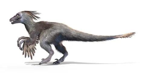 3D Rendered Animation of A Velociraptor ... | Stock Video | Pond5