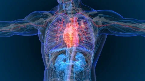 Attack Flows Stock Videos – Royalty-Free HD & 4K Videos | Pond5