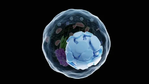 3d rendered medical animation of a cell'... | Stock Video | Pond5