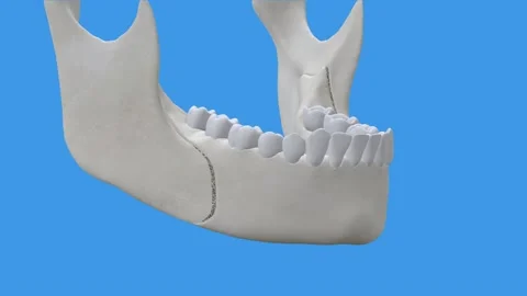 Jaw Movement Stock Videos – Royalty-Free HD & 4K Videos