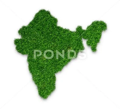 3D rendering of a detailed India map contoured with green grass on a ...