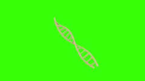Green Screen Dna Double Helix Structure Animation Dna Double Helix 3D