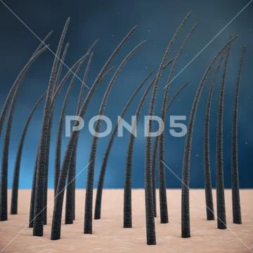 3D Rendering hair keratin strengthening, hair care. Treatment and care ...