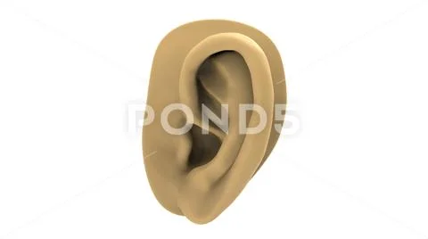 3d rendering of a human ear isolated in white studio background ...