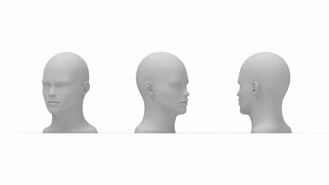 3D Human Head Stock Footage ~ Royalty Free Stock Videos | Pond5