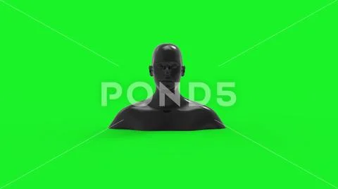 3d rendering of a human model isolated in studio background: Royalty ...