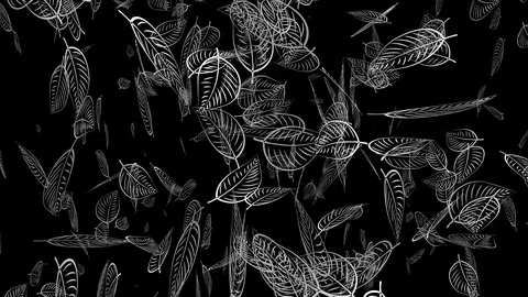 3d rendering of leaf texture or leaf ba... | Stock Video | Pond5