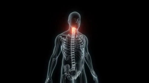 3D Rendering of a Medical Animation of t... | Stock Video | Pond5