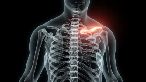 3D Rendering of a Medical Animation of t... | Stock Video | Pond5