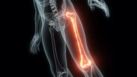 3D Rendering of a Medical Animation of t... | Stock Video | Pond5