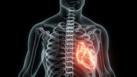 3D rendering Medical Animation of a Huma... | Stock Video | Pond5