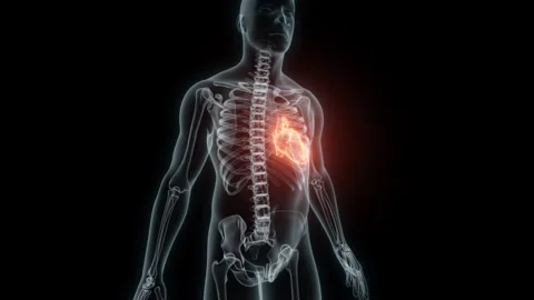 3D rendering Medical Animation of a Huma... | Stock Video | Pond5
