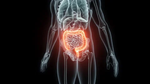 3D rendering Medical Animation of a Huma... | Stock Video | Pond5