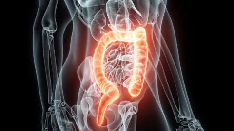 3D rendering Medical Animation of a Huma... | Stock Video | Pond5