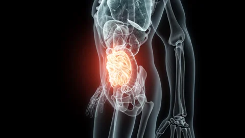 3D rendering Medical Animation of a Huma... | Stock Video | Pond5