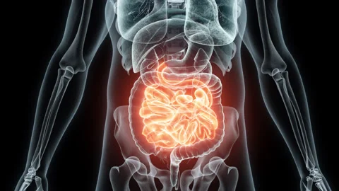 3D rendering Medical Animation of a Huma... | Stock Video | Pond5