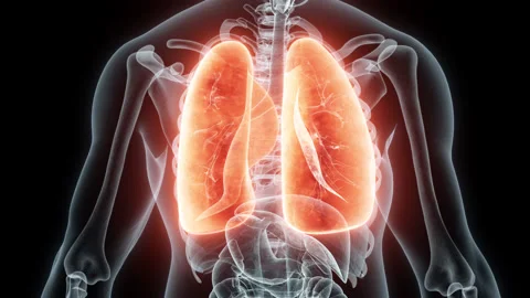 3D rendering Medical Animation of a Huma... | Stock Video | Pond5