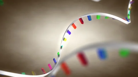 Rna Stock Video Footage | Royalty Free Rna Videos | Pond5