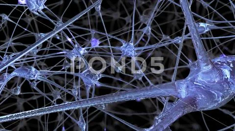 3D rendering of a network of neuron cells and synapses in the brain through w: Graphic #95689129