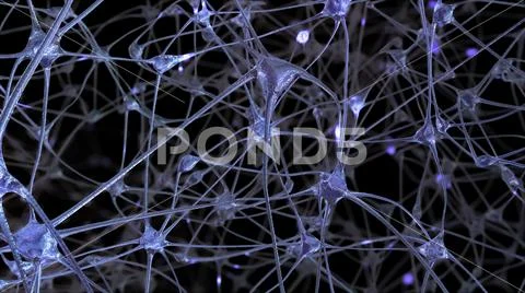 3D rendering of a network of neuron cells and synapses in the brain ...