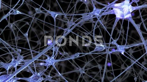 3D rendering of a network of neuron cells and synapses in the brain through w: Royalty Free ...
