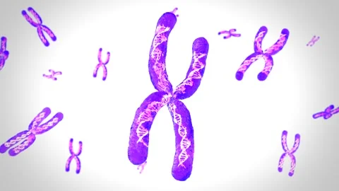 Dna Transparent Stock Videos – Royalty-Free HD & 4K Videos | Page 2