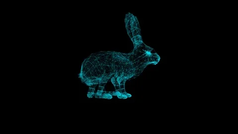 Rabbit 3D Stock Video Footage | Royalty Free Rabbit 3D Videos | Pond5