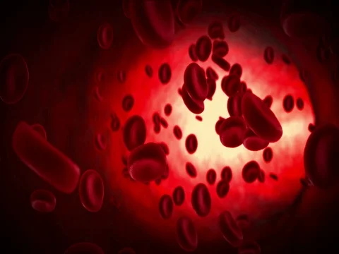 3D rendering red blood cells animation i... | Stock Video | Pond5