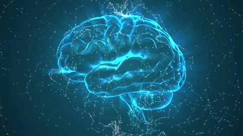 3D rendering of a rotating human brain a... | Stock Video | Pond5