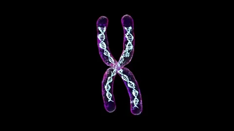 Gene Chromosome Stock Videos – Royalty-Free HD & 4K Videos | Page 5