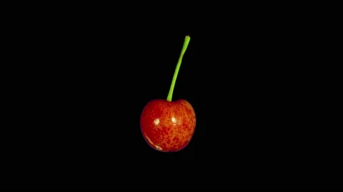 3d rotating cherry animation on a black ... | Stock Video | Pond5