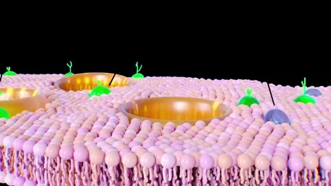 Schematic Stock Footage ~ Royalty Free Stock Videos | Pond5