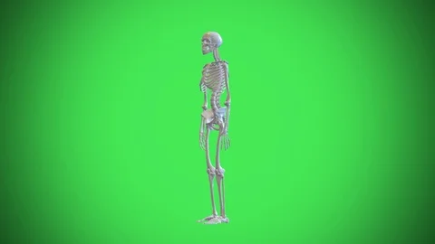 Skeleton Animations Loop Stock Video Footage | Royalty Free Skeleton ...