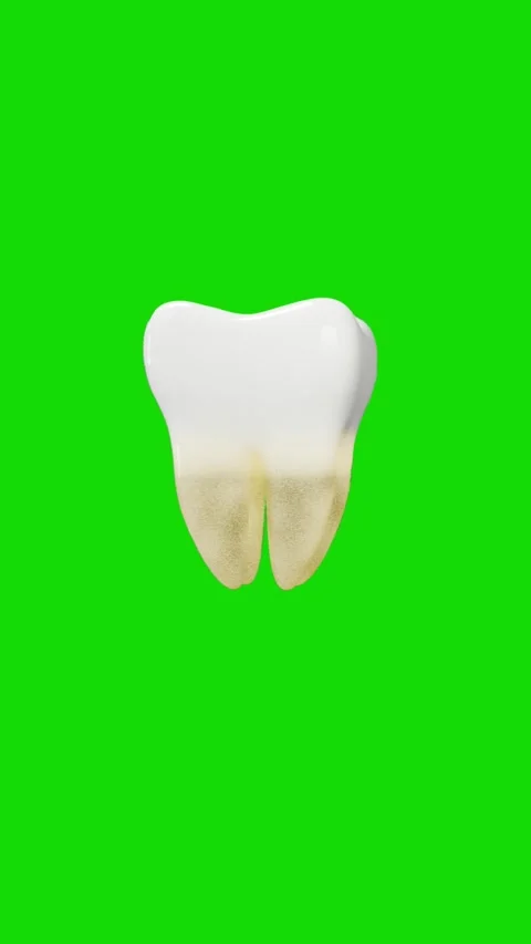 3D tooth animation 360 degrees, green sc... | Stock Video | Pond5