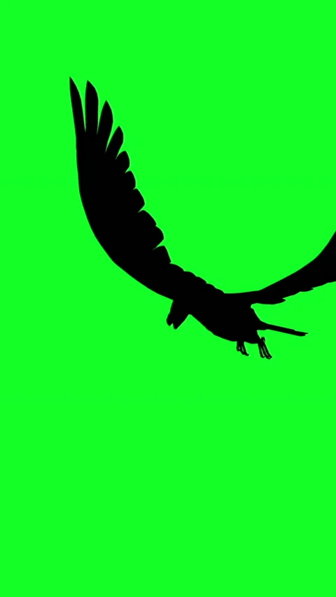 3d vertical video animation - silhouette... | Stock Video | Pond5