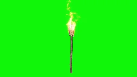 Green Screen Torch Stock Footage ~ Royalty Free Stock Videos | Pond5