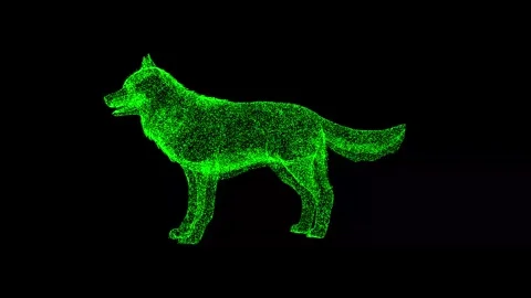 3D Wolf rotates on black background. Wil... | Stock Video | Pond5