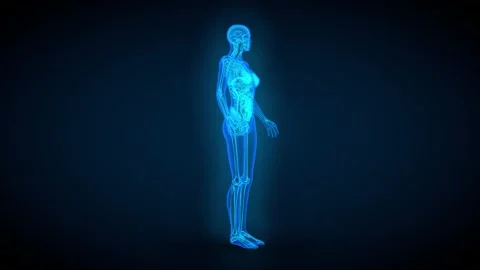 Female Body Scan Stock Video Footage | Royalty Free Female Body Scan ...