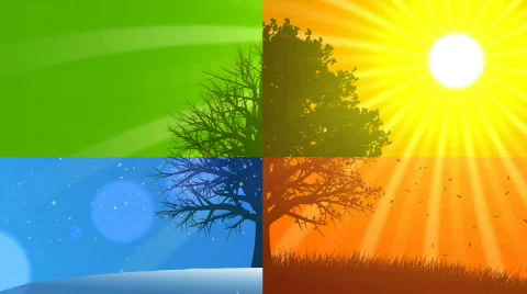 4 Seasons (Animated Background) | Stock Video | Pond5