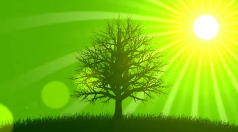 Spring Animated Background Stock Footage ~ Royalty Free Stock Videos ...