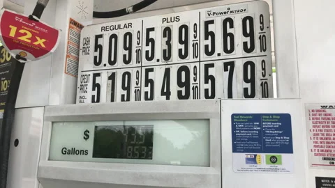 Big Shots Prices Stock Videos – Royalty-Free HD & 4K Videos