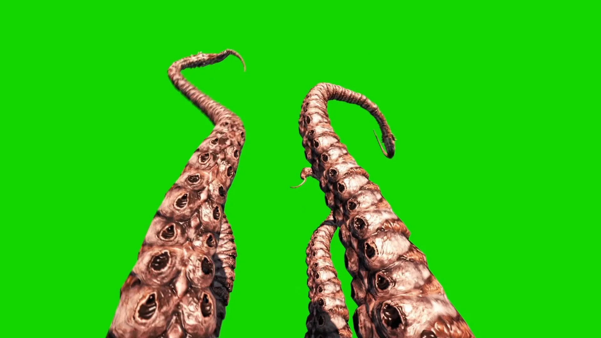 The Mist Tentacle Creature