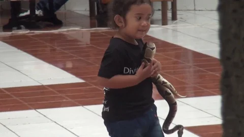 4-year-old girl seen handling live pytho... | Stock Video | Pond5