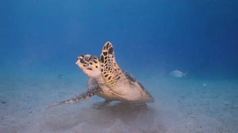 4K 120 fps Super Slow Motion Seascape wi... | Stock Video | Pond5