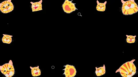 Cute Sec Animal Stock Videos – Royalty-Free HD & 4K Videos