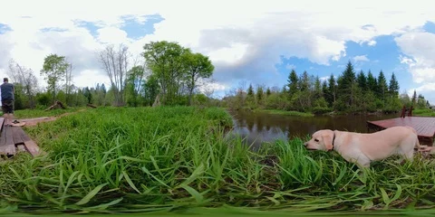 360 Vr Animals Stock Footage ~ Royalty Free Stock Videos | Pond5