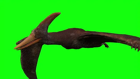 4k 3d animation of Pterodactyl flying on... | Stock Video | Pond5