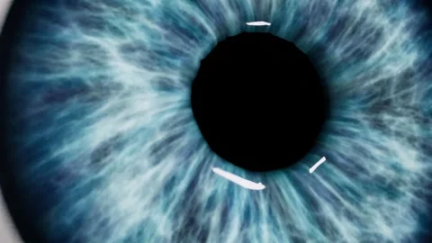 4K 3D Eye medical Anatomy | Stock Video | Pond5