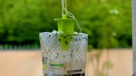 4k 60fps commercial fly trap with live h... | Stock Video | Pond5