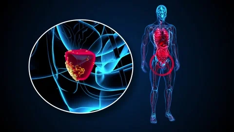 4K abstract 3D animation of the prostate... | Stock Video | Pond5
